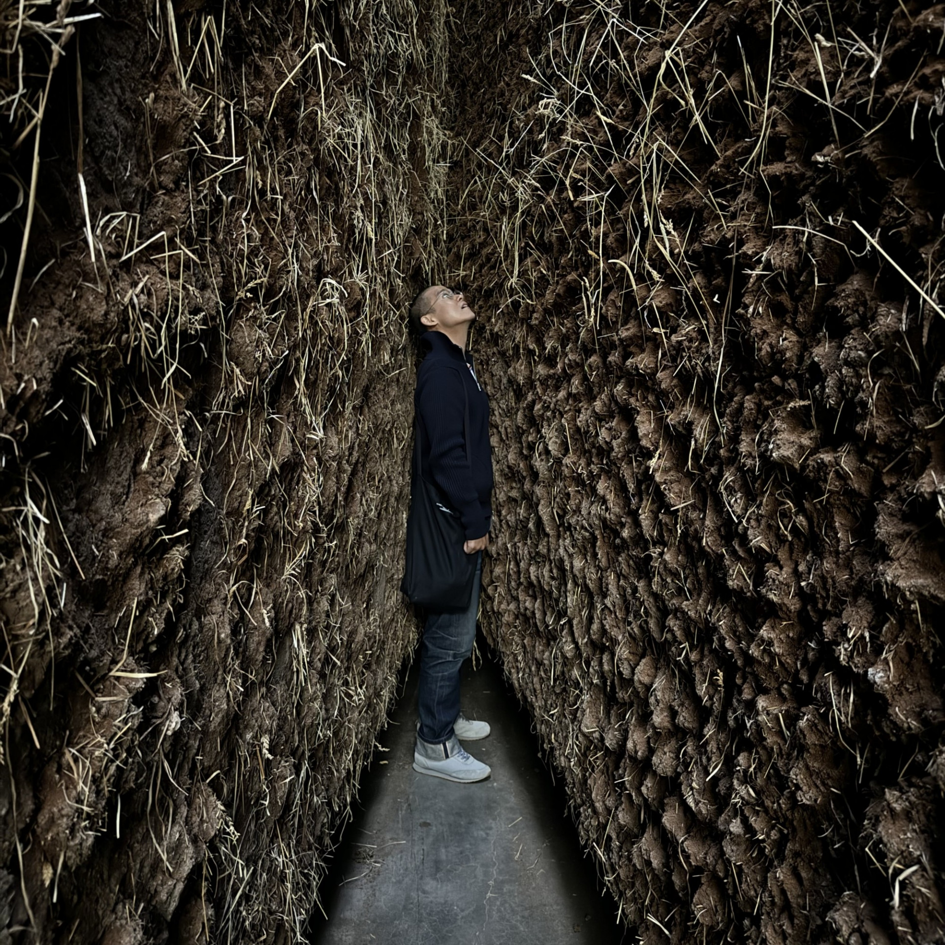 Junho Peter Yoon | Center for Korean Research